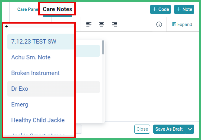 Discover the Intuitive Capabilities of Care Notes – CareStack: User ...